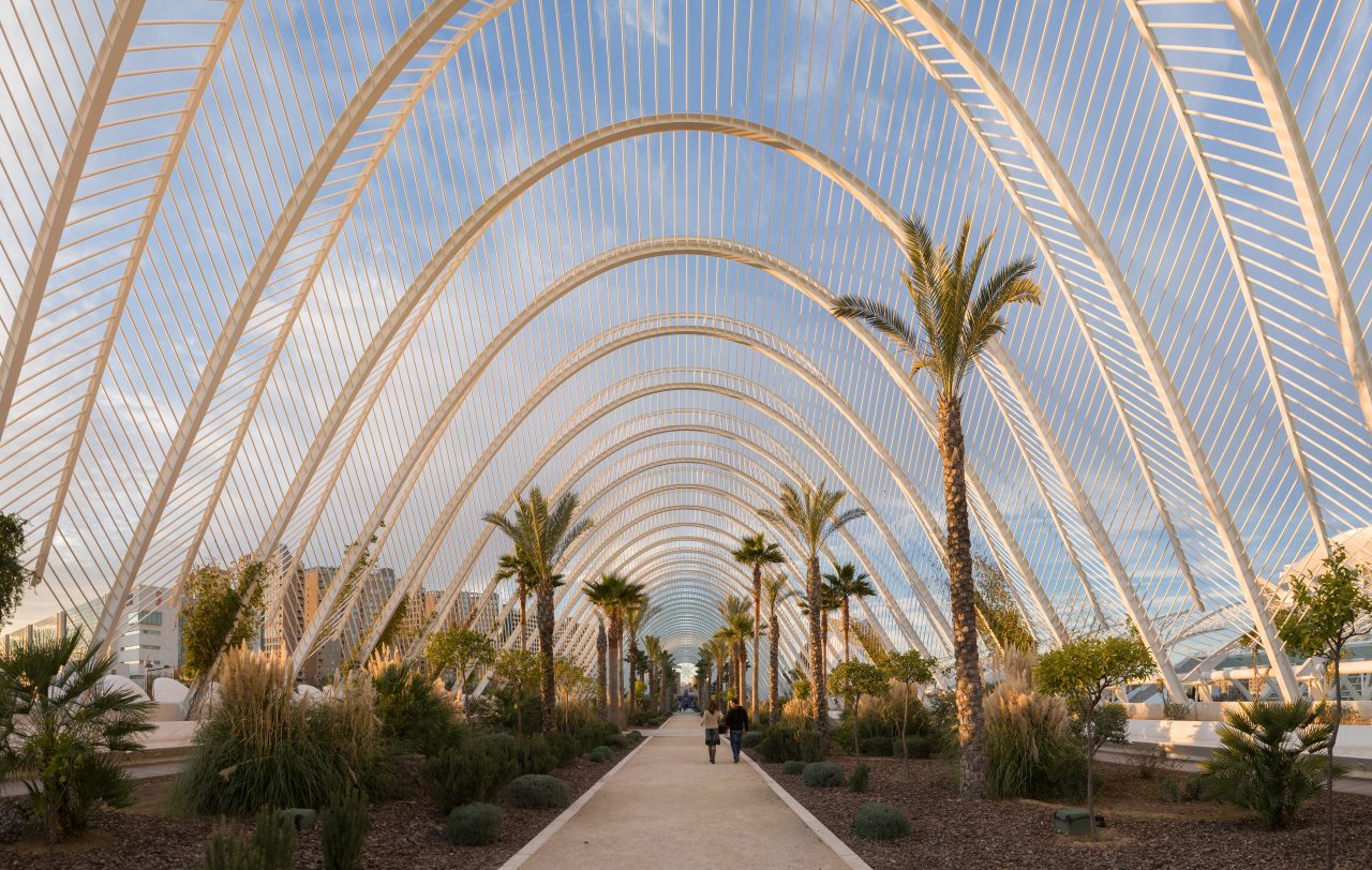 L'umbracle 1 CAC - Fundación Deportiva Municipal Valencia